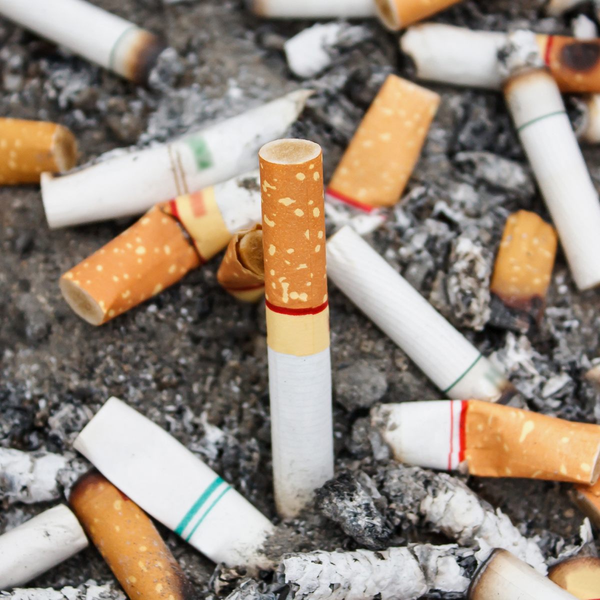 How to Stop Cigarette Butt Litter & Reduce Plastic Pollution – HAY! Straws